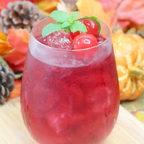 Autumn Harvest Hard Cider Drink Recipe